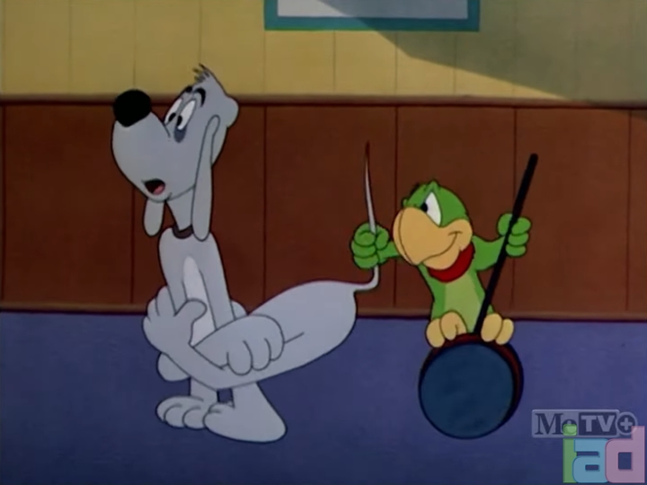 Coo-Coo Bird Dog (1949) - The Internet Animation Database