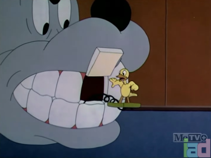 Coo-Coo Bird Dog (1949) - The Internet Animation Database