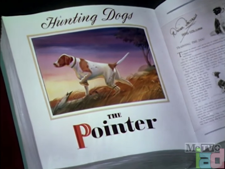 Coo-Coo Bird Dog (1949) - The Internet Animation Database
