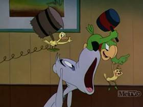 Coo-Coo Bird Dog (1949) - The Internet Animation Database