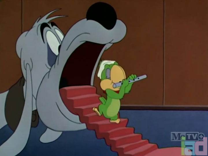 Coo-Coo Bird Dog (1949) - The Internet Animation Database