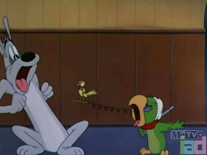 Coo-Coo Bird Dog (1949) - The Internet Animation Database