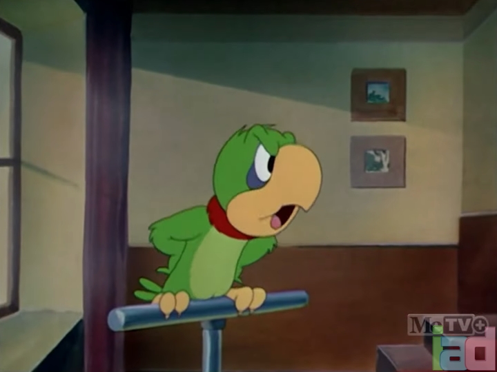 Coo-Coo Bird Dog (1949) - The Internet Animation Database