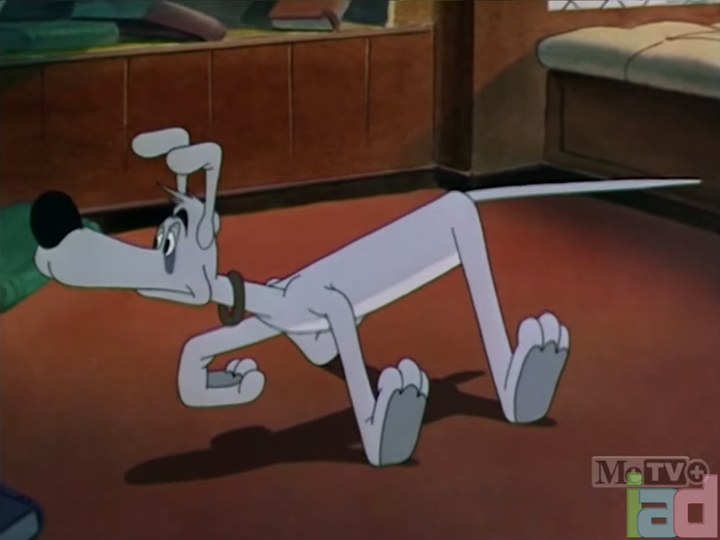 Coo-Coo Bird Dog (1949) - The Internet Animation Database