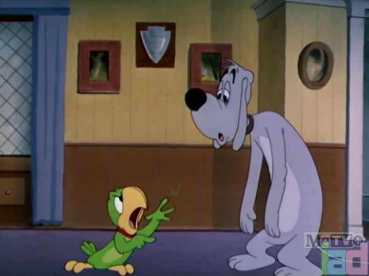 Coo-Coo Bird Dog (1949) - The Internet Animation Database