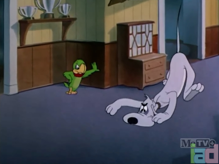 Coo-Coo Bird Dog (1949) - The Internet Animation Database