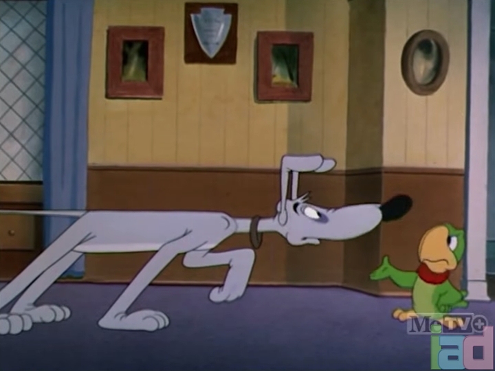 Coo-Coo Bird Dog (1949) - The Internet Animation Database