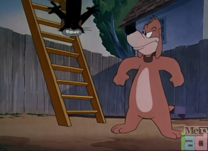 Cat-Tastrophy (1949) - The Internet Animation Database