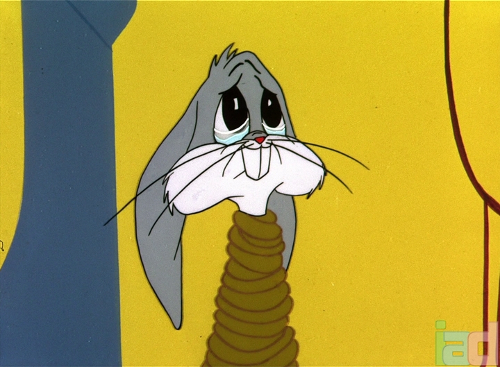 Broom-Stick Bunny (1956) - The Internet Animation Database