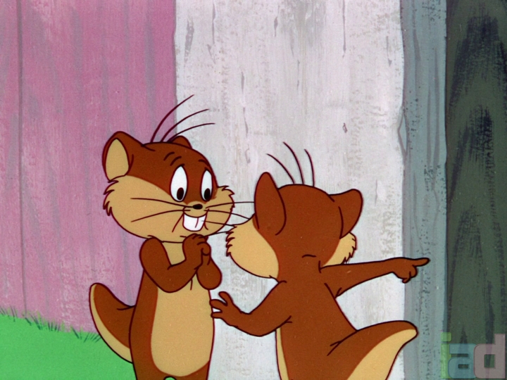 Gopher Broke (1958) - The Internet Animation Database