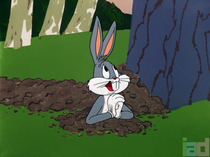 Backwoods Bunny (1959) - The Internet Animation Database