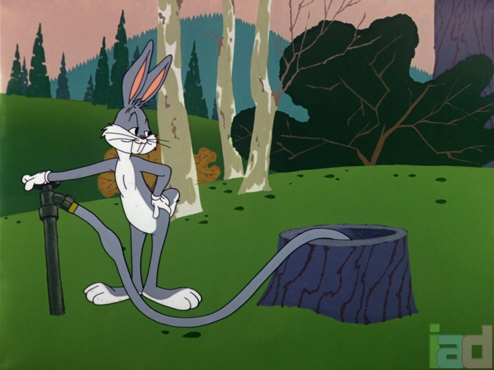 Backwoods Bunny (1959) - The Internet Animation Database