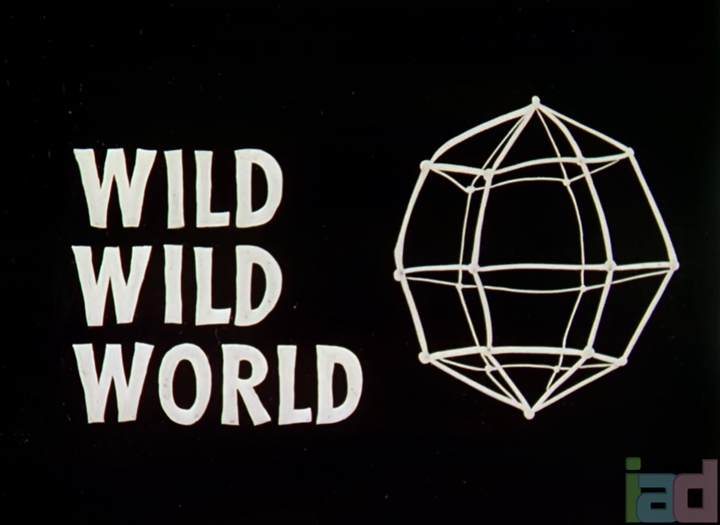 Wild Wild World (1960) - The Internet Animation Database