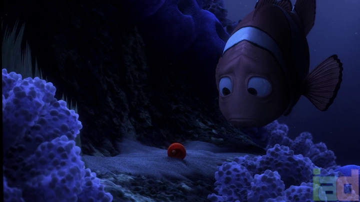 Finding Nemo (2003) - The Internet Animation Database