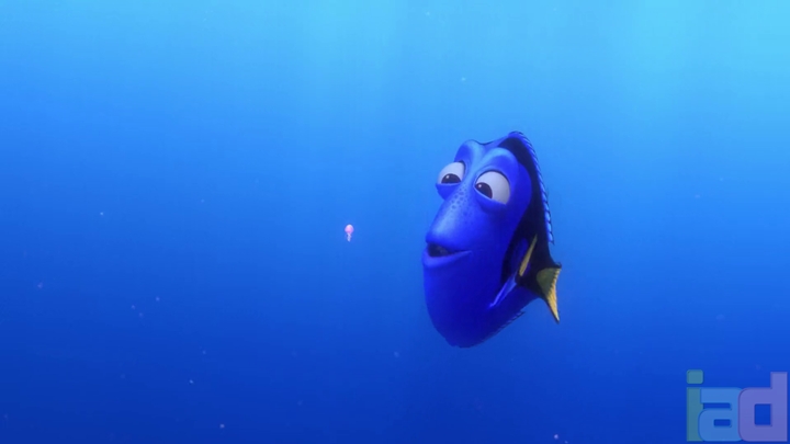 Finding Nemo (2003) - The Internet Animation Database