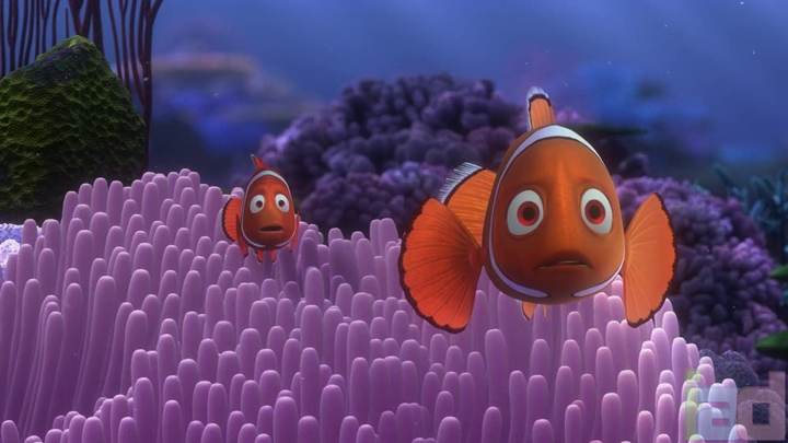 Finding Nemo (2003) - The Internet Animation Database