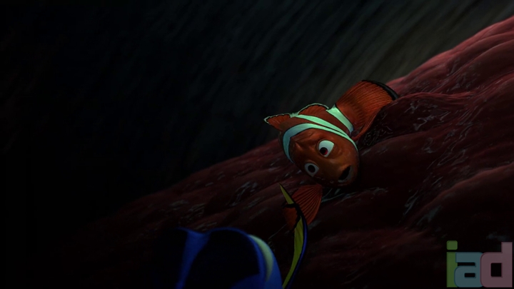 Finding Nemo (2003) - The Internet Animation Database