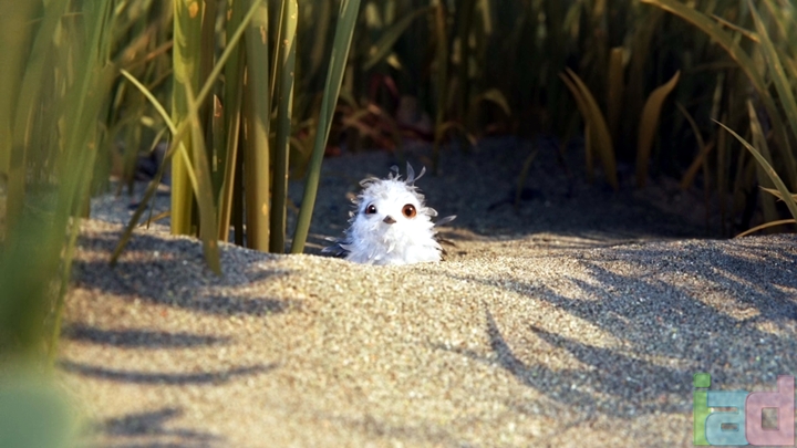 Piper (2016) - The Internet Animation Database