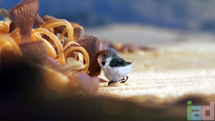 Piper (2016) - The Internet Animation Database