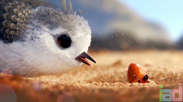 Piper (2016) - The Internet Animation Database