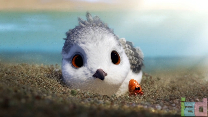 Piper (2016) - The Internet Animation Database