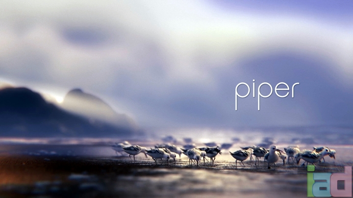 Piper (2016) - The Internet Animation Database