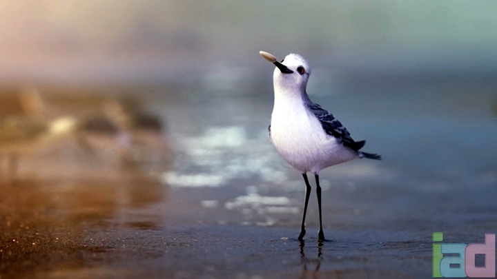 Piper (2016) - The Internet Animation Database