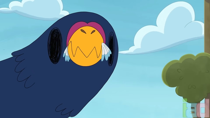 Bird Attack (2020) - The Internet Animation Database