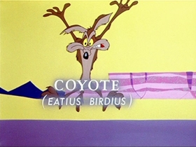 Rushing Roulette 1965 Merrie Melodies Wile E. Coyote and Road Runner🍩 ...