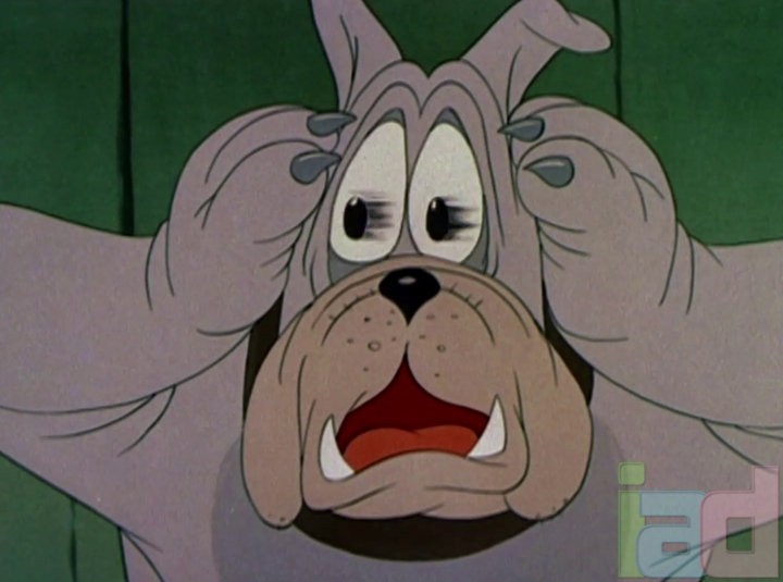 The Alley Cat (1941) - The Internet Animation Database