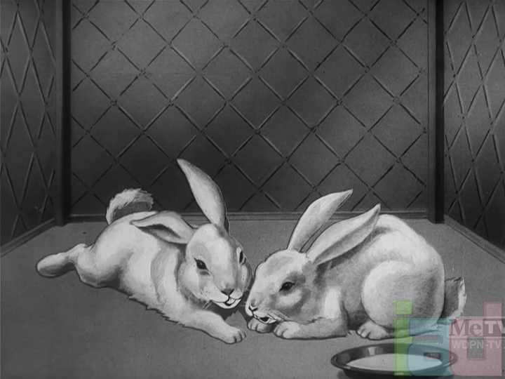 Nutty News (1942) - The Internet Animation Database