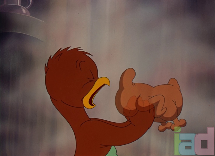 The Squawkin' Hawk (1942) - The Internet Animation Database