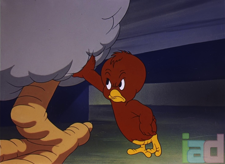 The Squawkin' Hawk (1942) - The Internet Animation Database