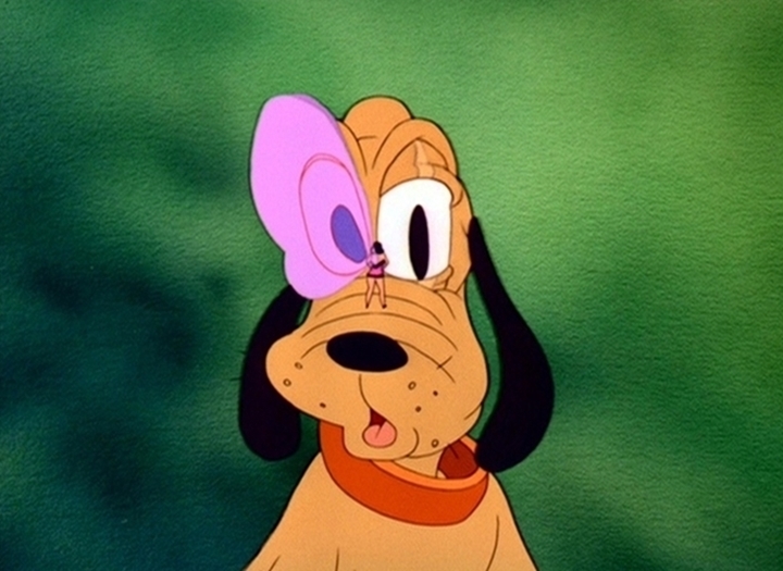 Springtime for Pluto (1944) - The Internet Animation Database