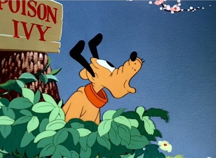 Springtime for Pluto (1944) - The Internet Animation Database