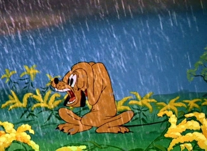 Springtime for Pluto (1944) - The Internet Animation Database