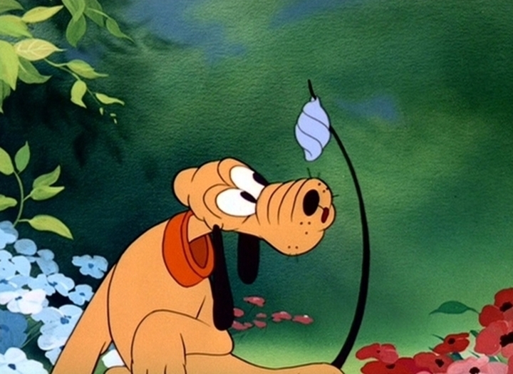 Springtime for Pluto (1944) - The Internet Animation Database