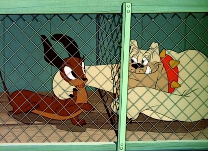 Canine Casanova (1945) - The Internet Animation Database