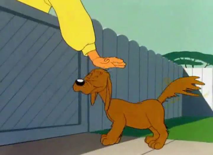 Fresh Airedale (1945) - The Internet Animation Database