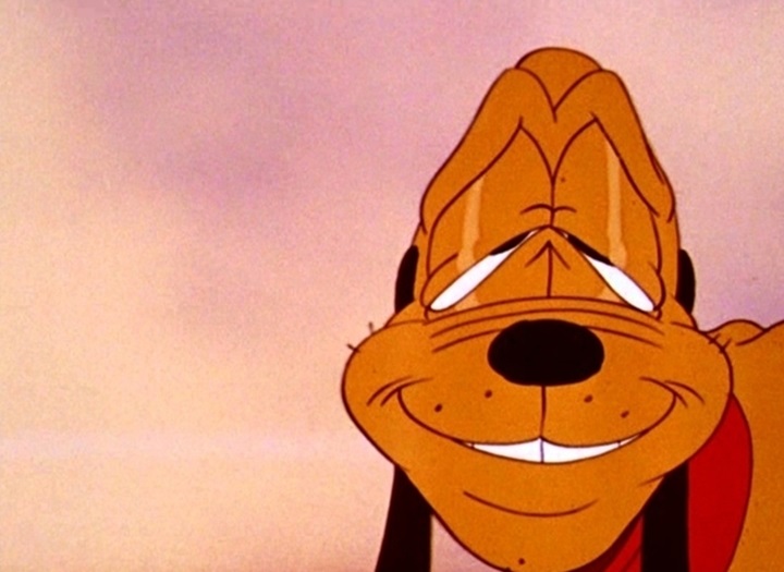 Pluto's Blue Note (1947) - The Internet Animation Database