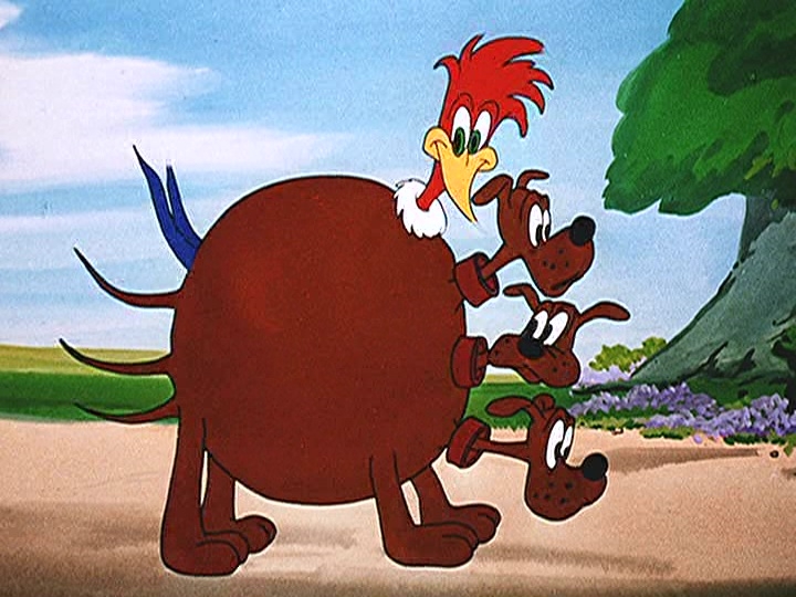 The Coo-Coo Bird (1947) - The Internet Animation Database