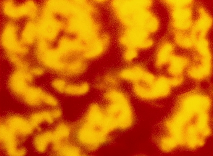 House Hunting Mice (1947) - The Internet Animation Database