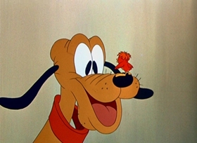 Pluto's Fledgling (1948) - The Internet Animation Database