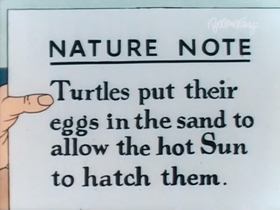 The Shell Shocked Egg (1948) - The Internet Animation Database