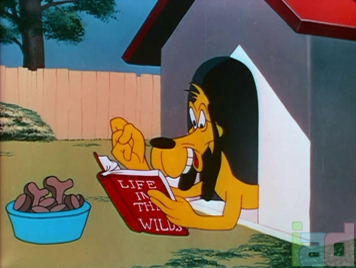 Two Gophers from Texas (1948) - The Internet Animation Database