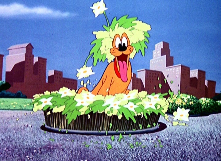 Bubble Bee (1949) - The Internet Animation Database