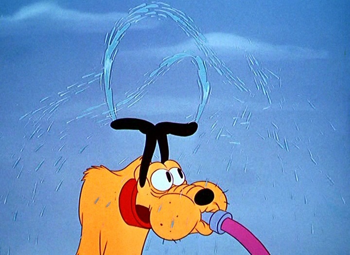 Pluto's Heart Throb (1950) - The Internet Animation Database