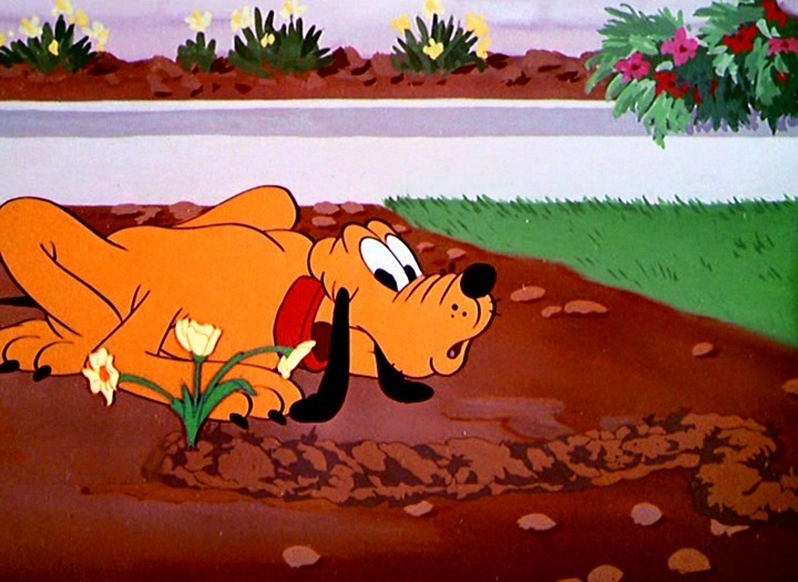 Pluto and the Gopher (1950) - The Internet Animation Database