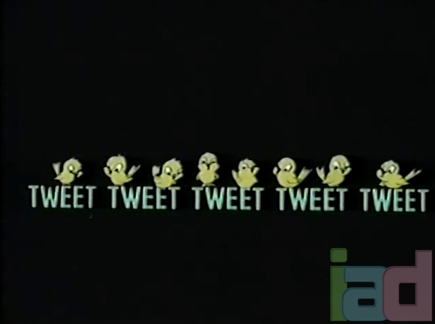 Tweet Music (1951) - The Internet Animation Database