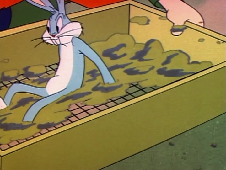 Rabbit Every Monday (1951) - The Internet Animation Database
